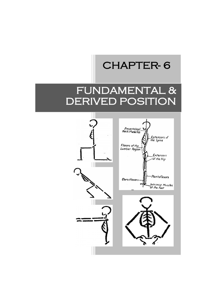 Fundamental & Derived Position: Chapter-6 | PDF | Anatomical Terms Of ...