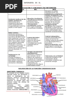 Función y Ubicación del Plexo Cardíaco | PDF
