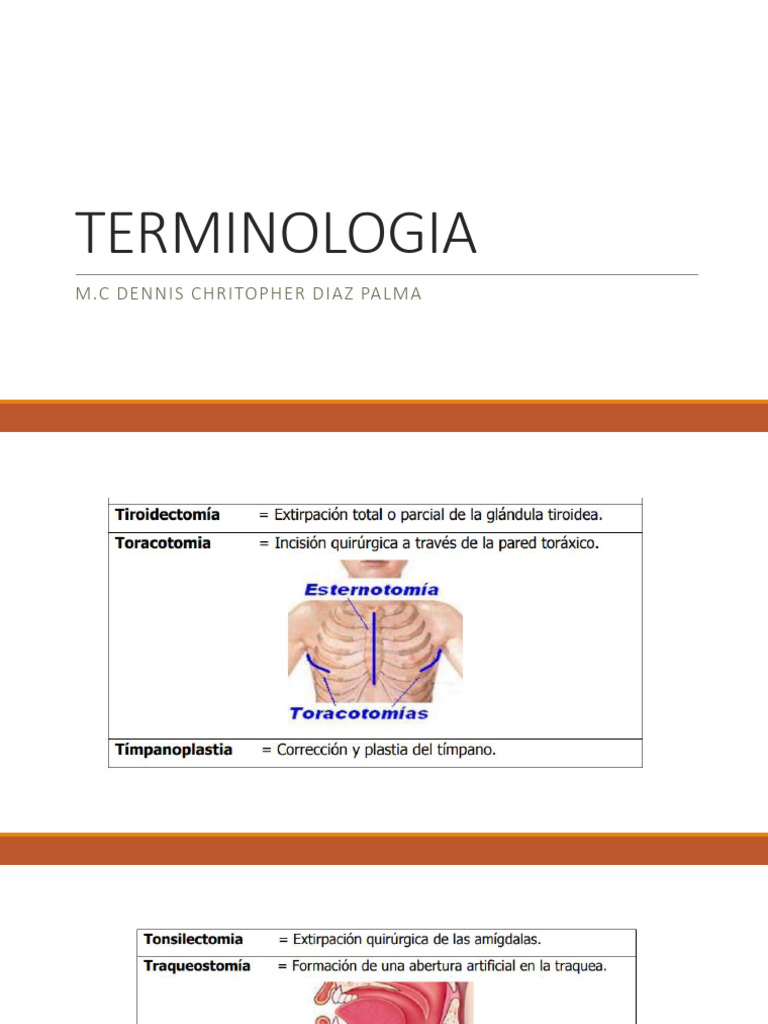 Terminologia 09 | PDF