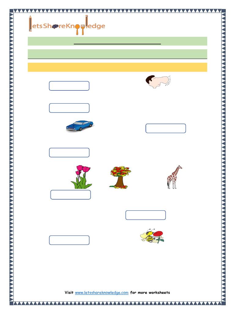 Grade 1 Living and Nonliving Things Science Printable Worksheet 1 | PDF