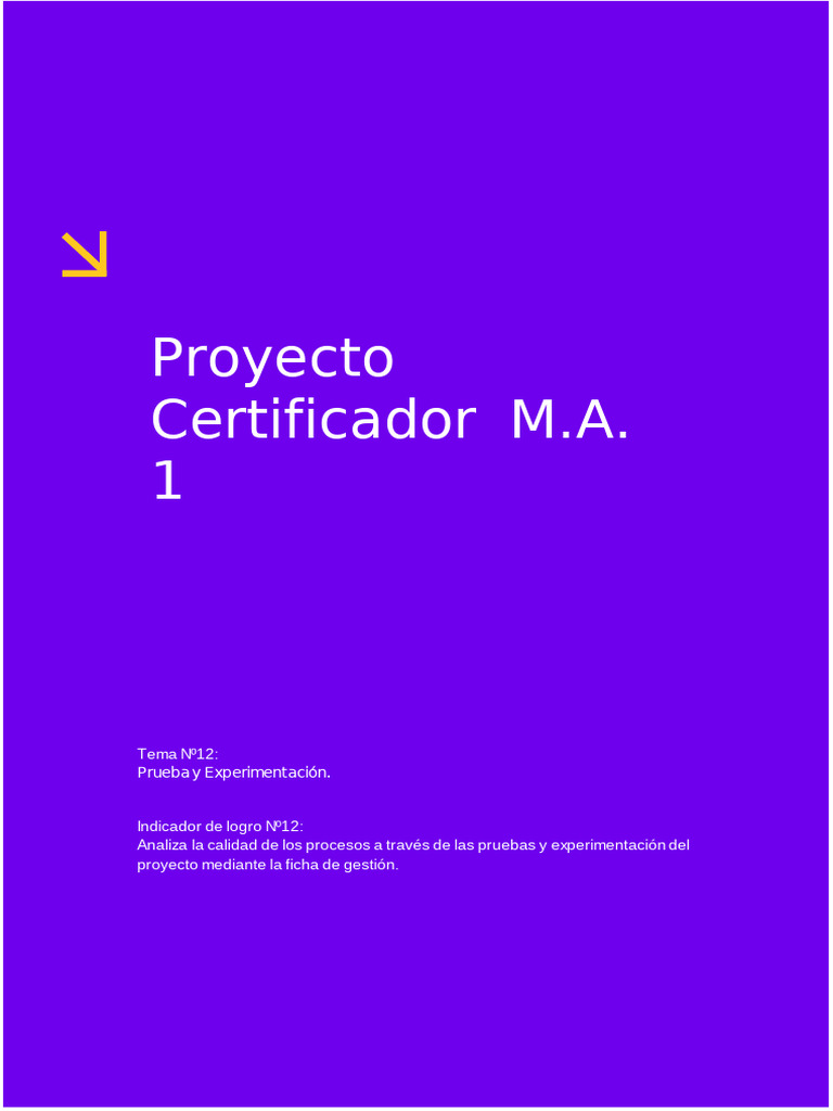 FICHA 12 Tecnico Modificacion | PDF