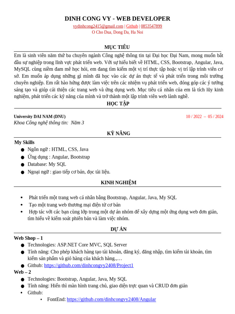 Dinh Cong Vy CV | PDF