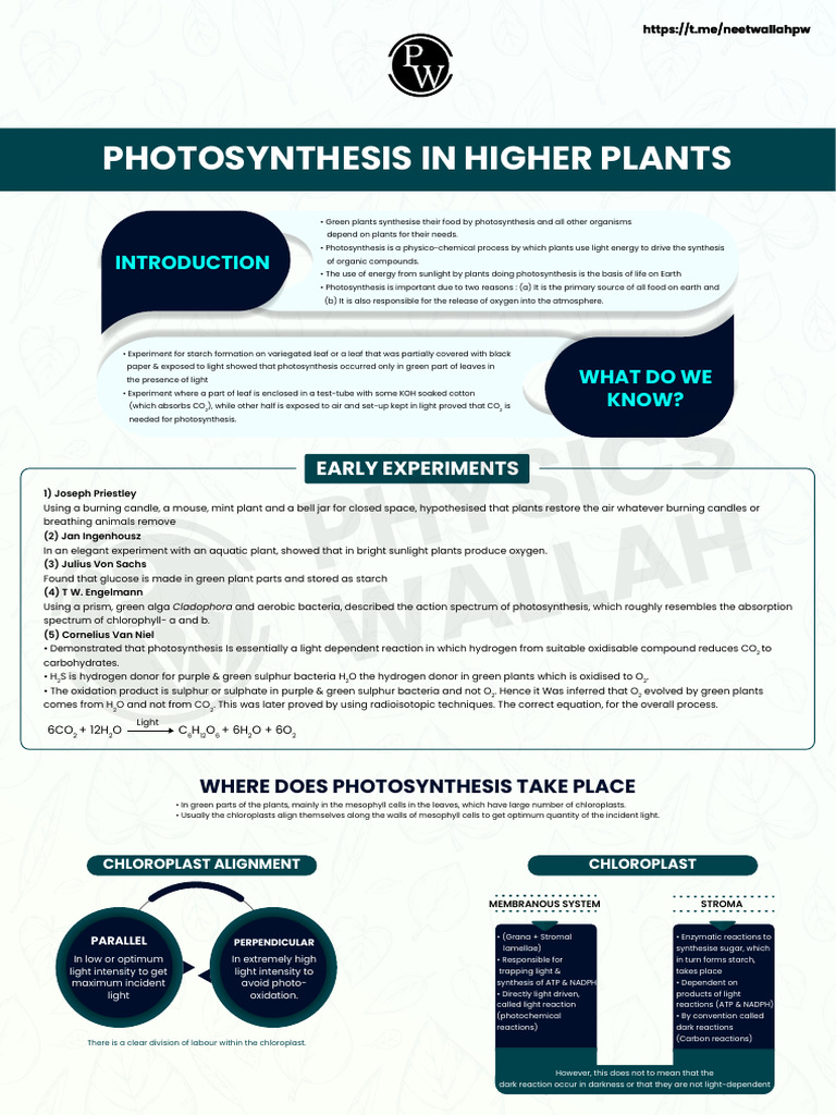 Photosynthesis in Higher Plants - Mind Map - Yakeen NEET 2025 | PDF ...