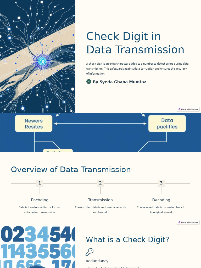 Check Digit in Data Transmission | PDF