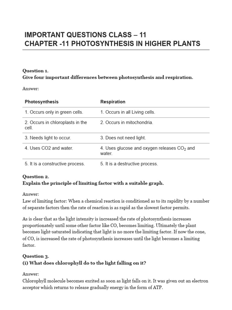 Important Question Class 11 Biology Chapter 11 | PDF
