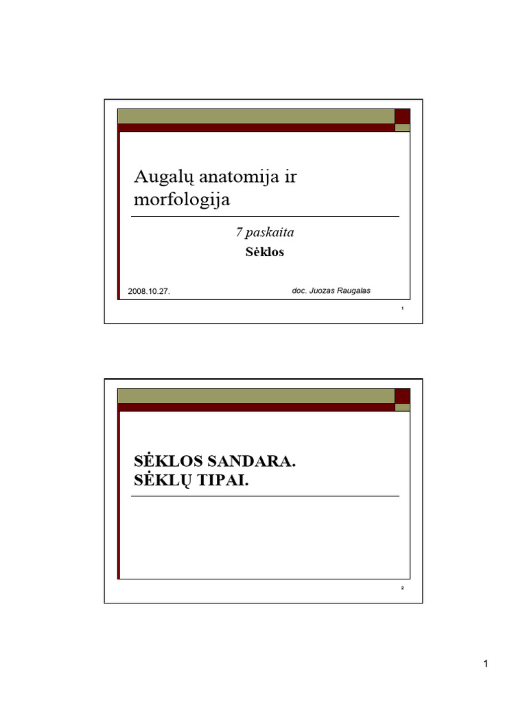 AAM 07 Seklos - 2008 | PDF