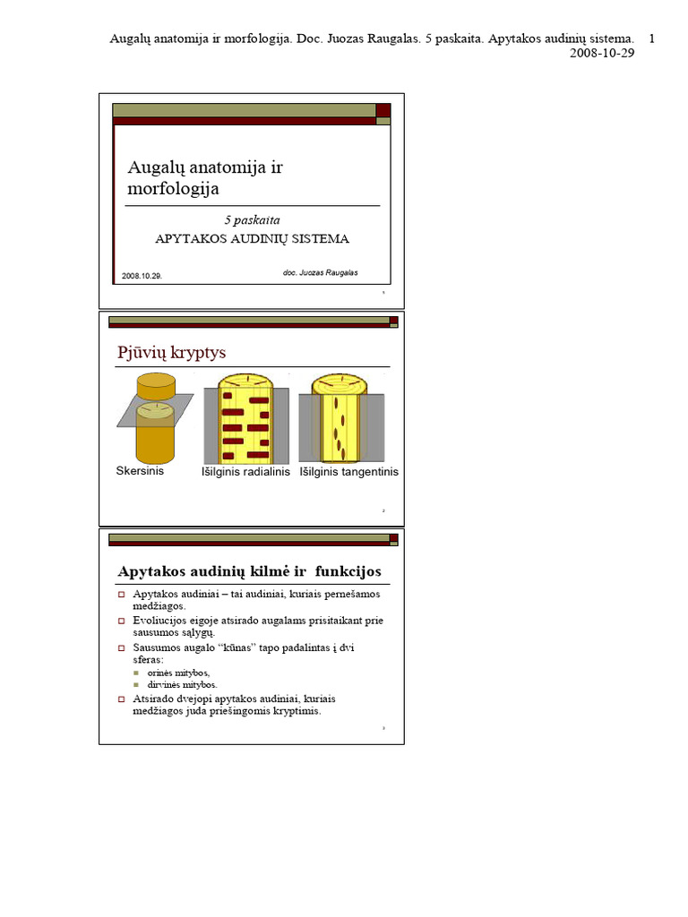 AAM-05 Apytakos Audiniai | PDF
