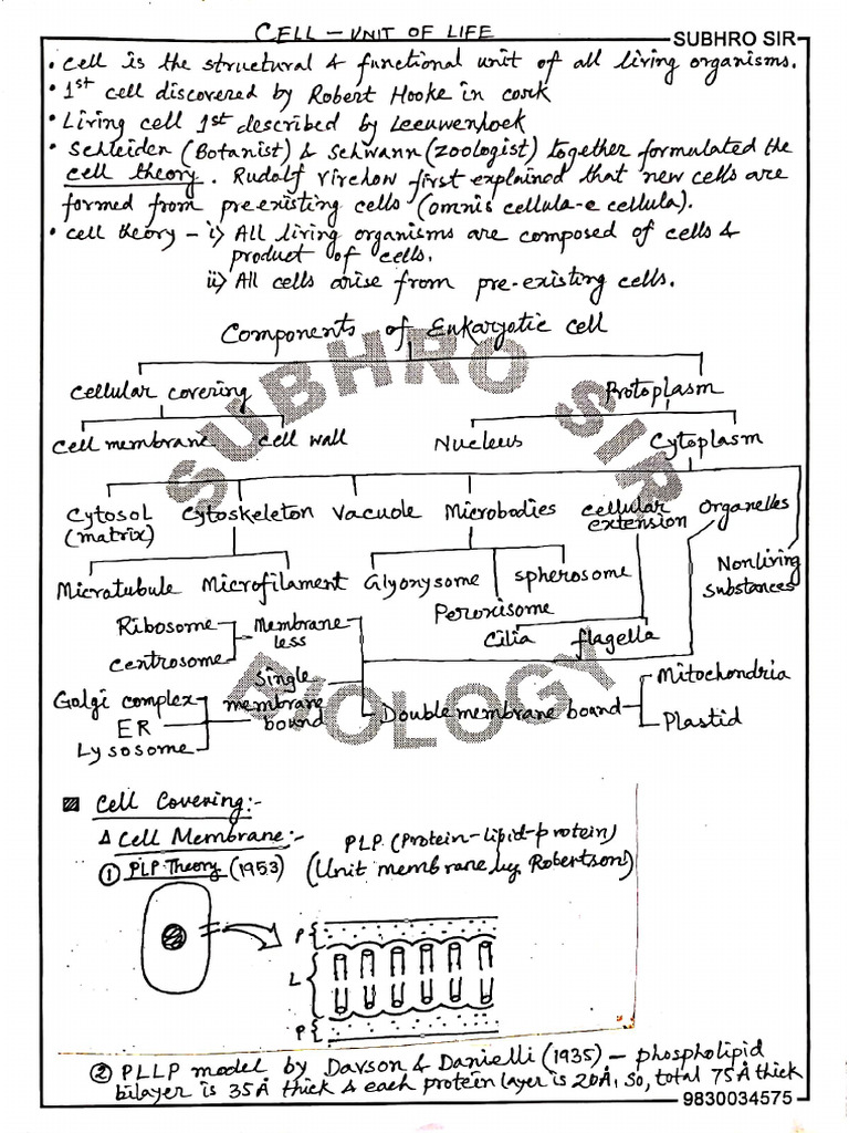 Cell Structure and Function | PDF
