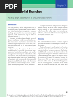 Scottie Dog Sign | PDF | Vertebra | Skeletal System