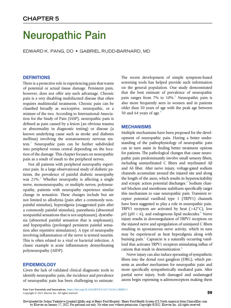 Neuropathic Pain | PDF | Peripheral Neuropathy | Pain