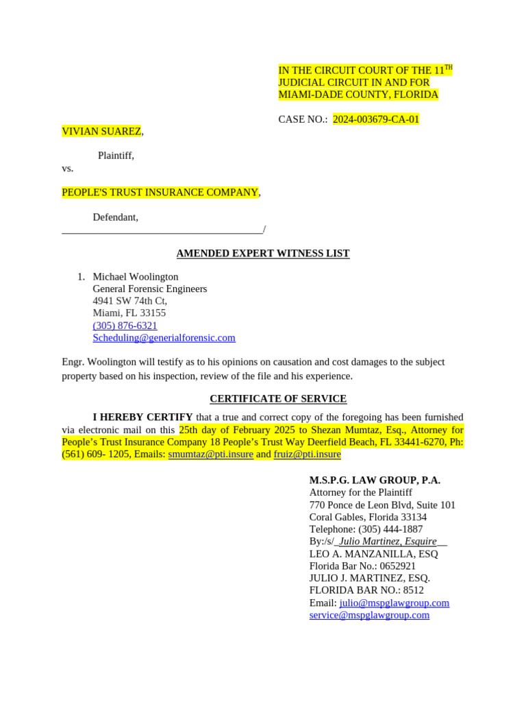 Amended Expert Witness List for Case | PDF