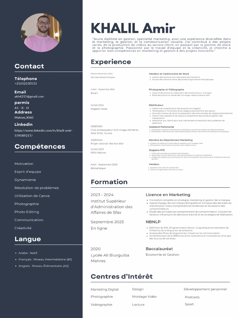 CV Amir Khalil | PDF