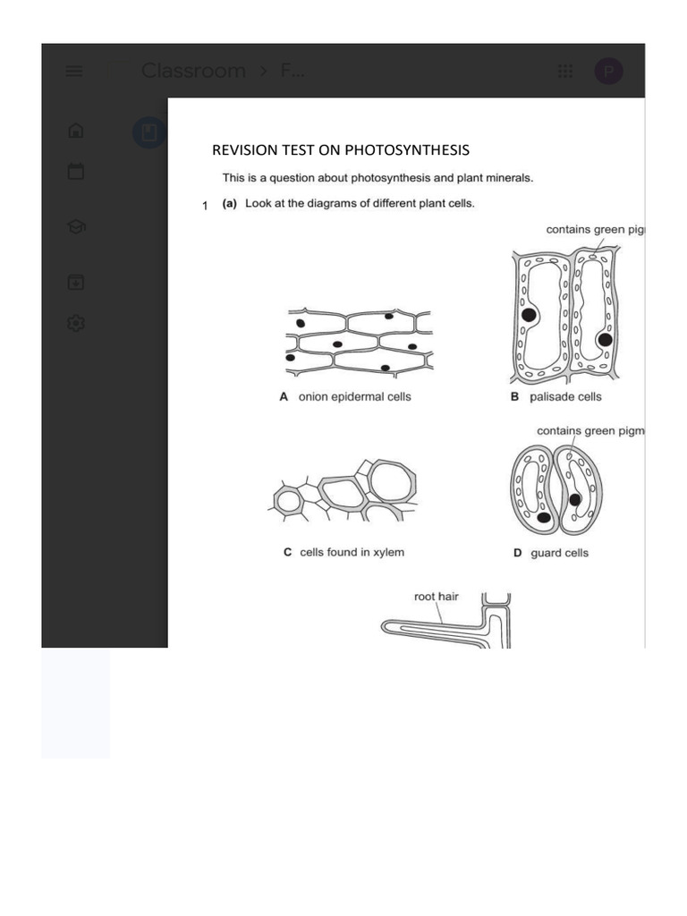 Revision Test On Photosynthesis | PDF