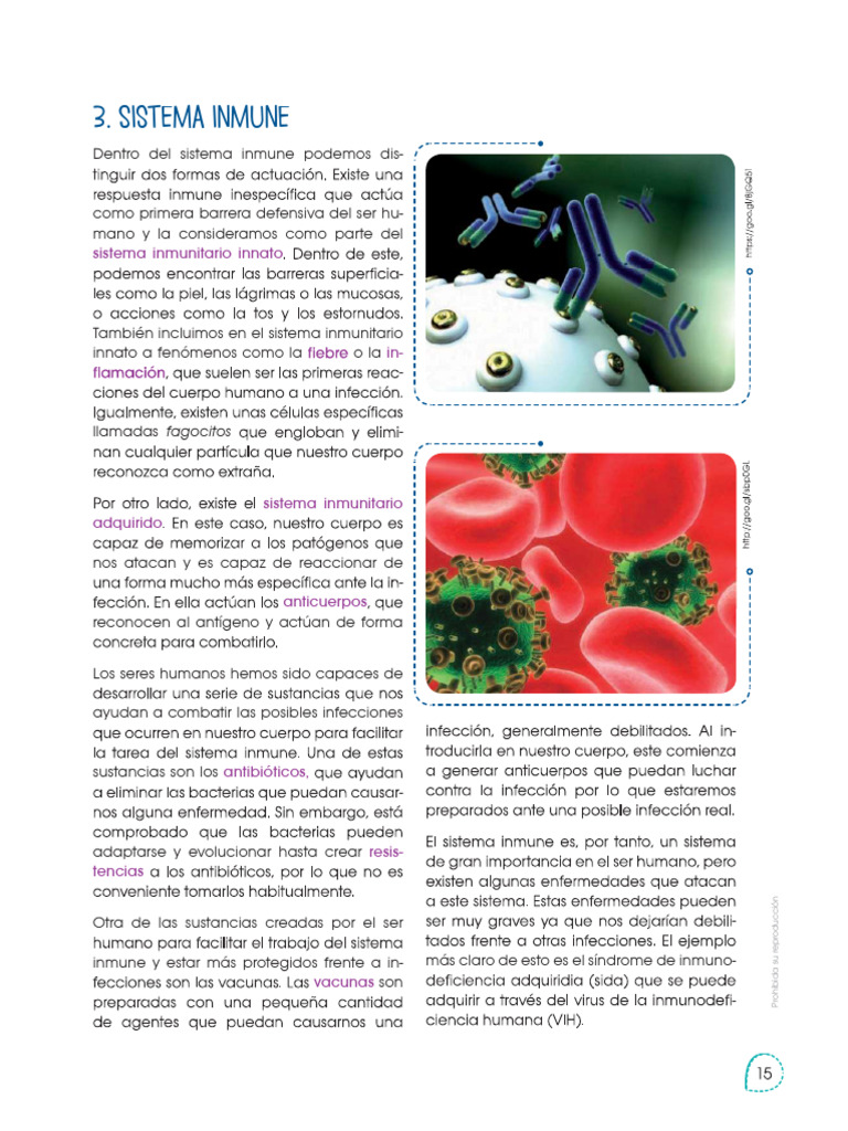 Sistema Inmune | PDF