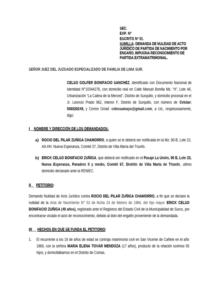 Demanda Nulidad de Partida Nacimiento Erick Bonifacio - Celso 1 | PDF ...