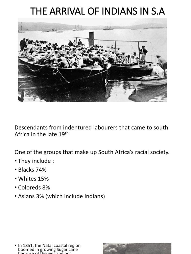 Indians' Arrival in South Africa | PDF | Mahatma Gandhi | Colony Of Natal
