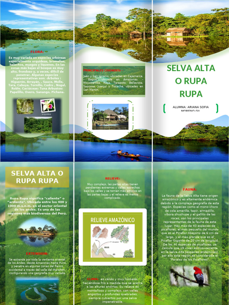 Triptico Selta Alta Ariana | PDF | Ciencias de la Tierra | Geografía Física