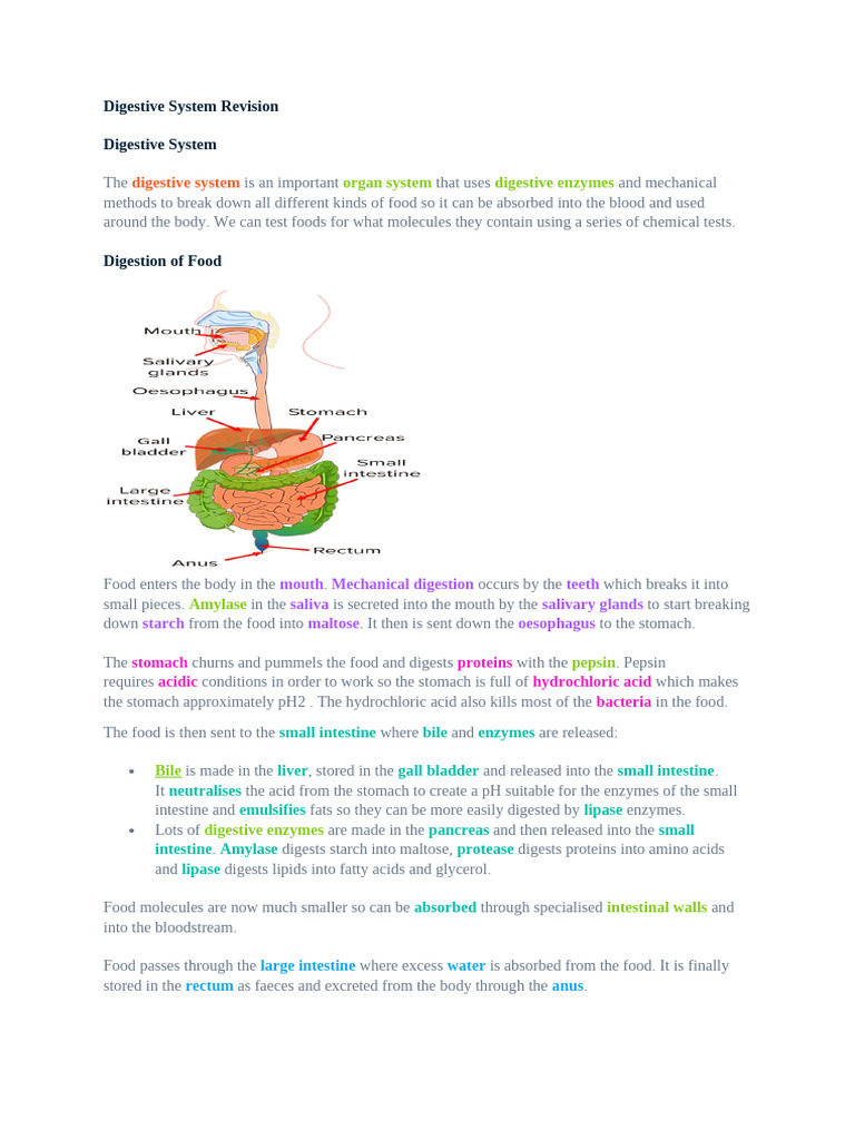 Combined Science Biology Notes | PDF | Heart | Cellular Respiration