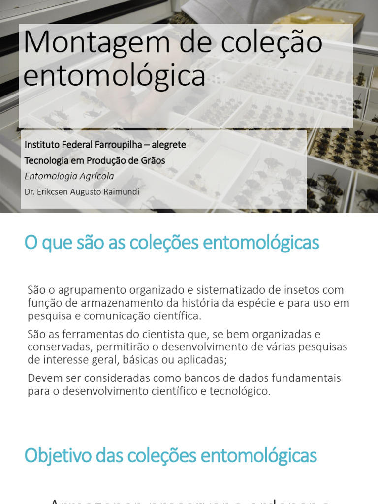 Montagem de Coleção Entomológica | PDF | Entomologia