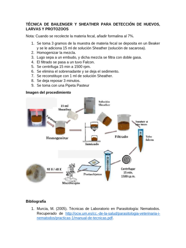 Técnica Sheather para Detección Parasitológica | PDF