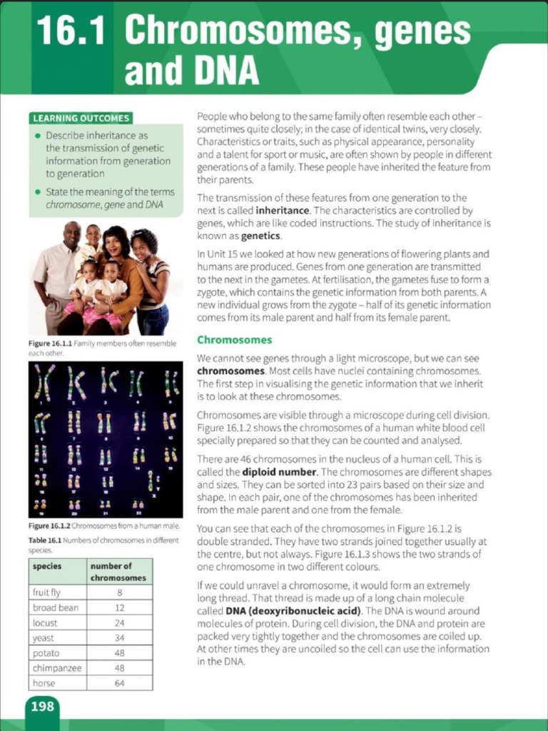 Genes Biology | PDF