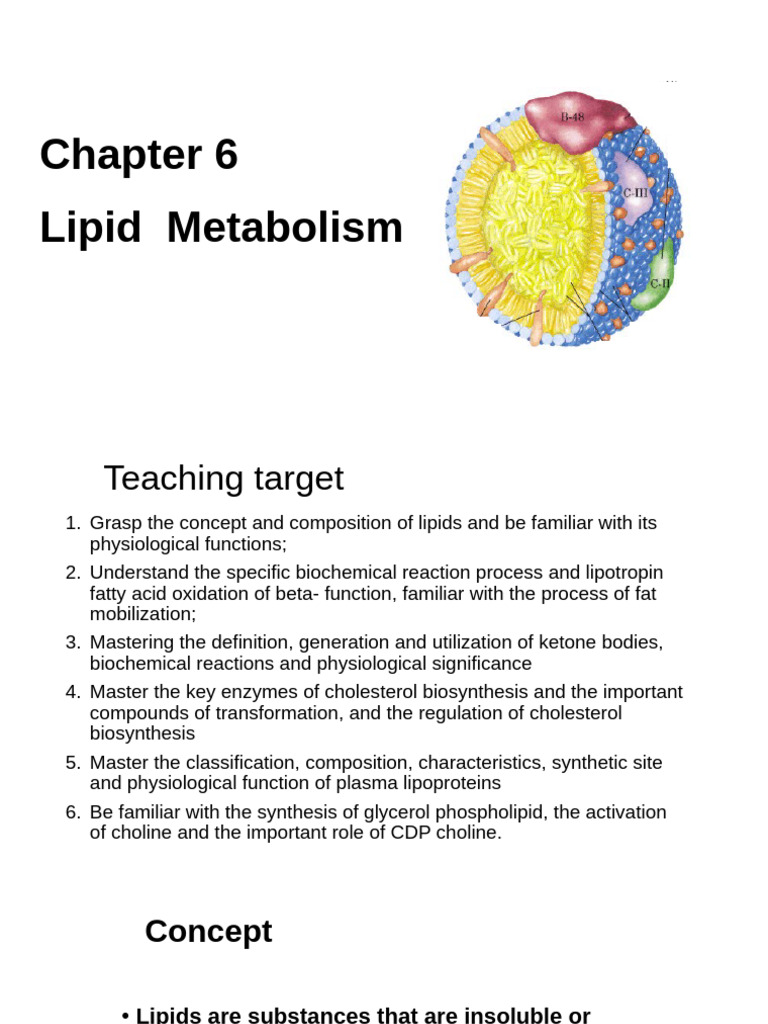 2025 01 Lipid Metabolism-2025-Wqs | PDF | Lipoprotein | Lipid