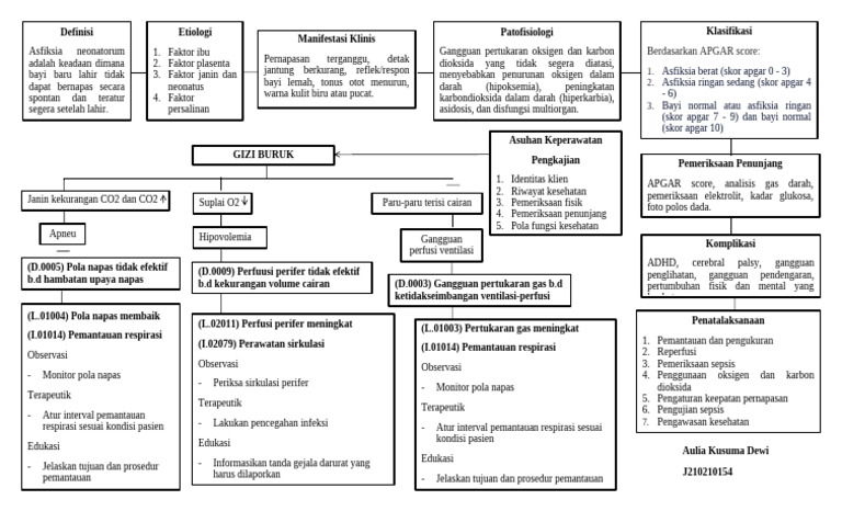 Mind Map Aul (Marasmus) | PDF