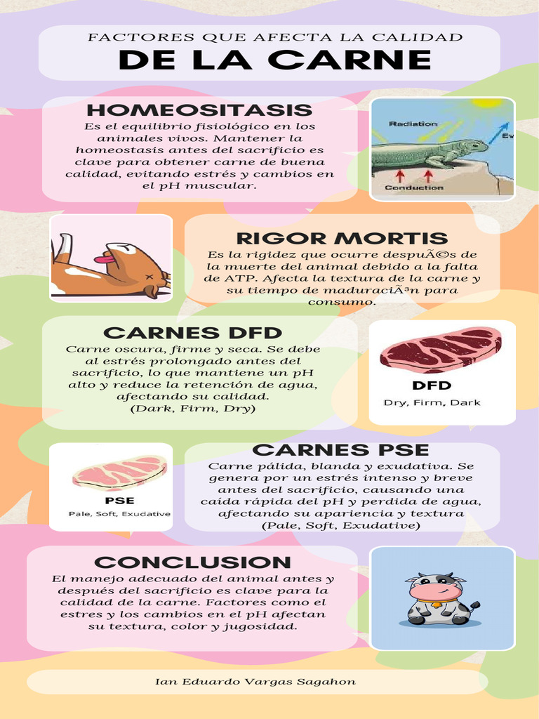 Cálidad de La Carne PDF | PDF