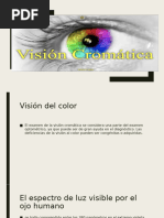 Defectos y Teorías de la Visión Cromática | PDF | Color | Percepción visual