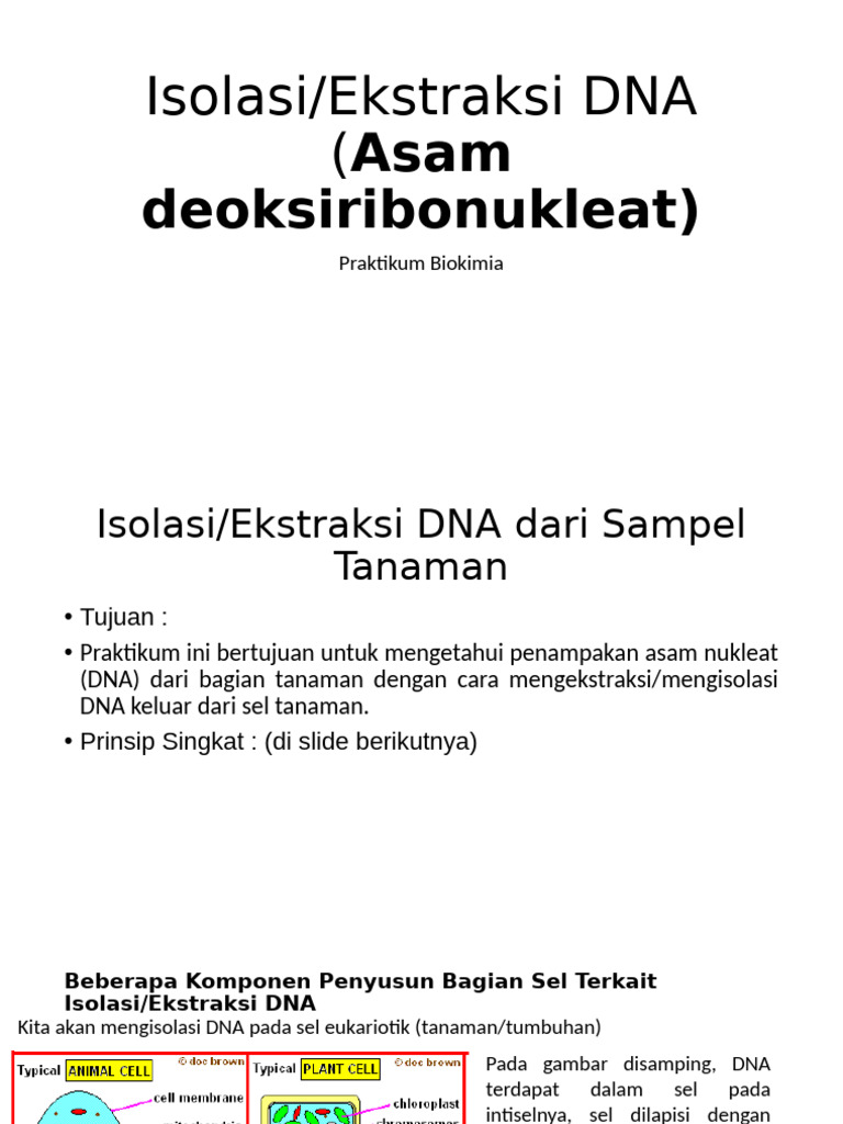 Ekstraksi DNA Dari Sampel Tanaman | PDF