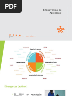 Ritmos y Estilos de Aprendizaje | PDF | Aprendizaje | Evaluación