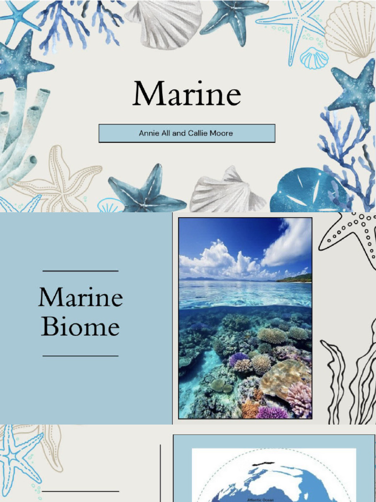 Marine Biome Project | PDF