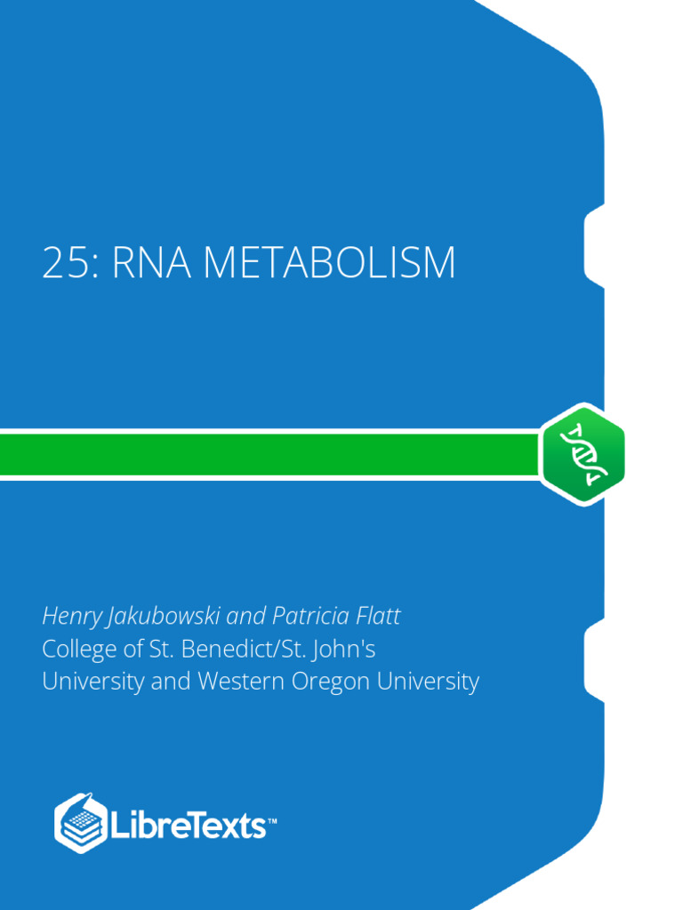 Rna Metabolism | PDF | Ribosome | Ribosomal Rna