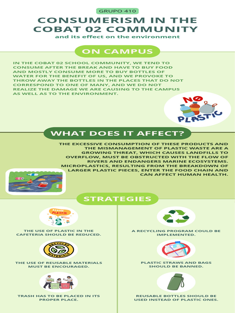 Ban on Plastic Straws and Bags | PDF