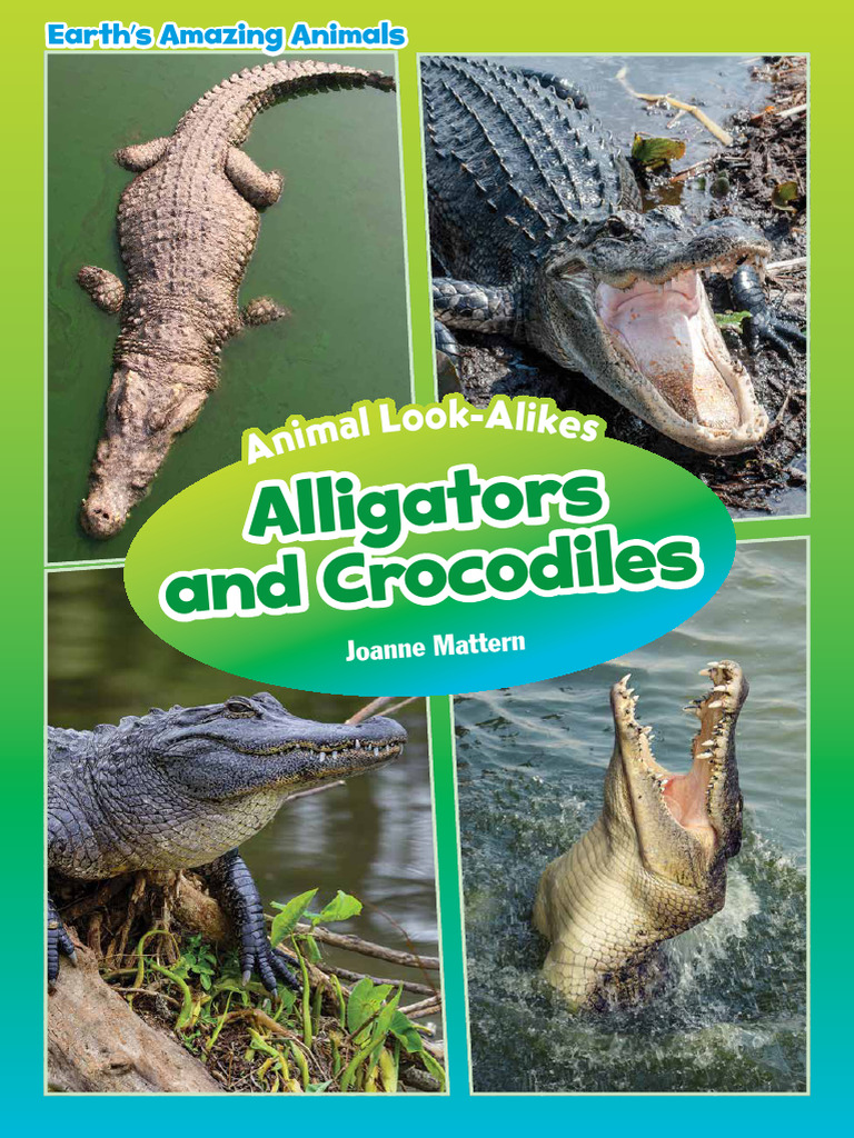 Animal Reading Comprehension | PDF | Reptile | Crocodile
