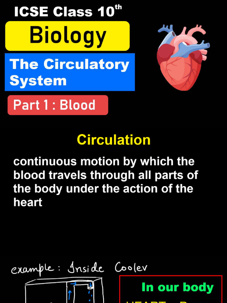 Circulatory System - Biology | PDF
