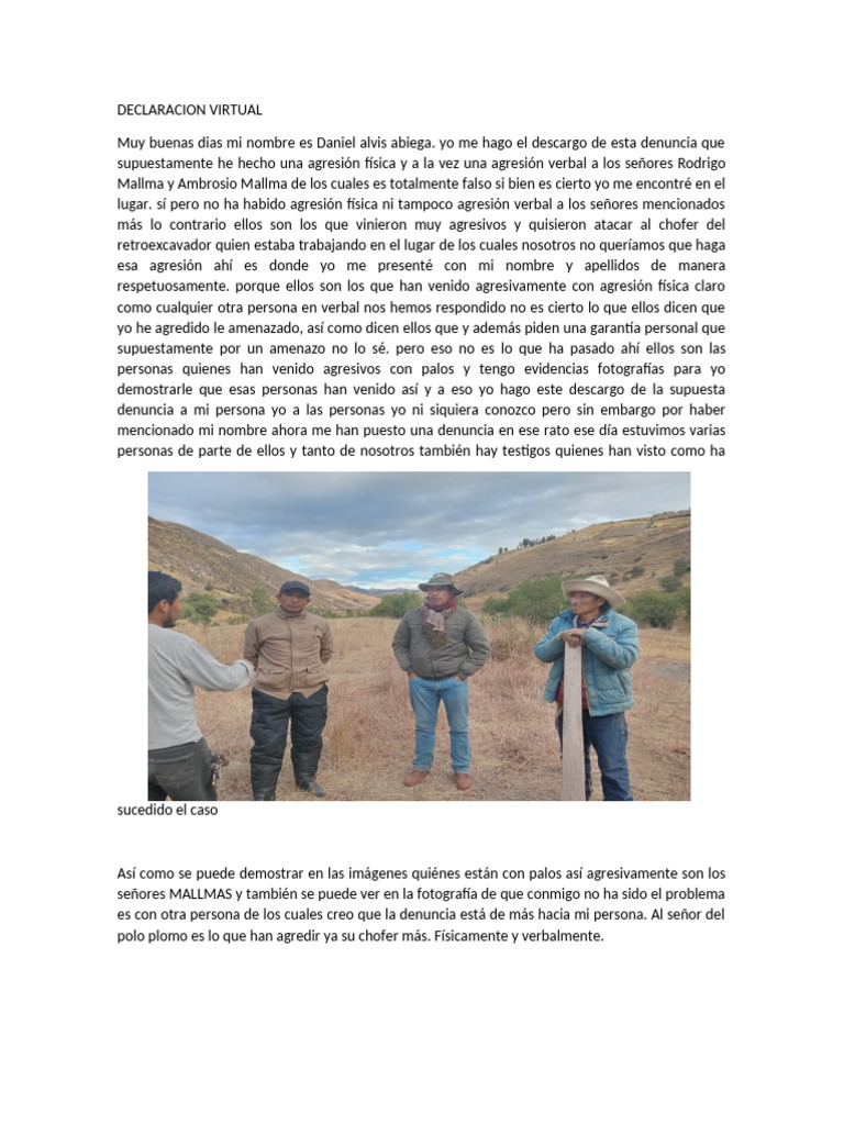 Declaracion Virtual Daniel | PDF