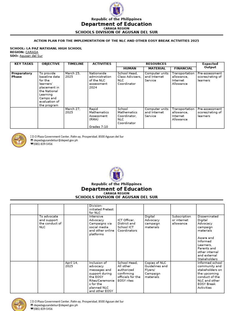 NLC Action Plan Lapaznhs 2025 | PDF