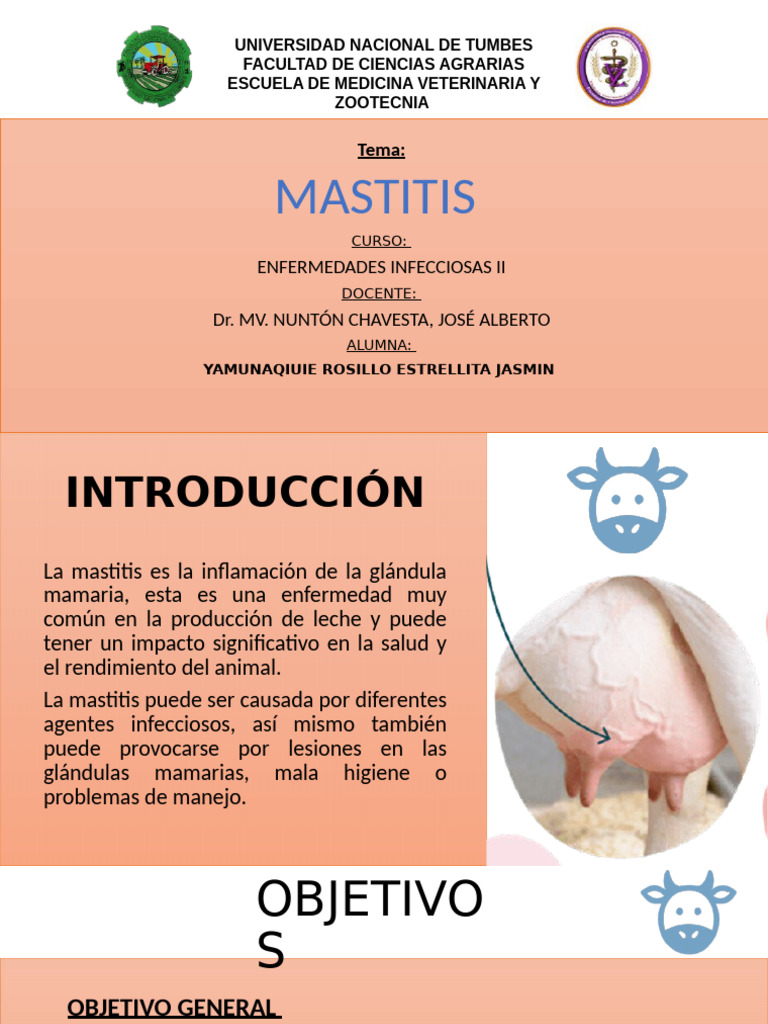 Mastitis (Yamunaque Rosillo) | PDF | Especialidades Medicas | Enfermedades y trastornos