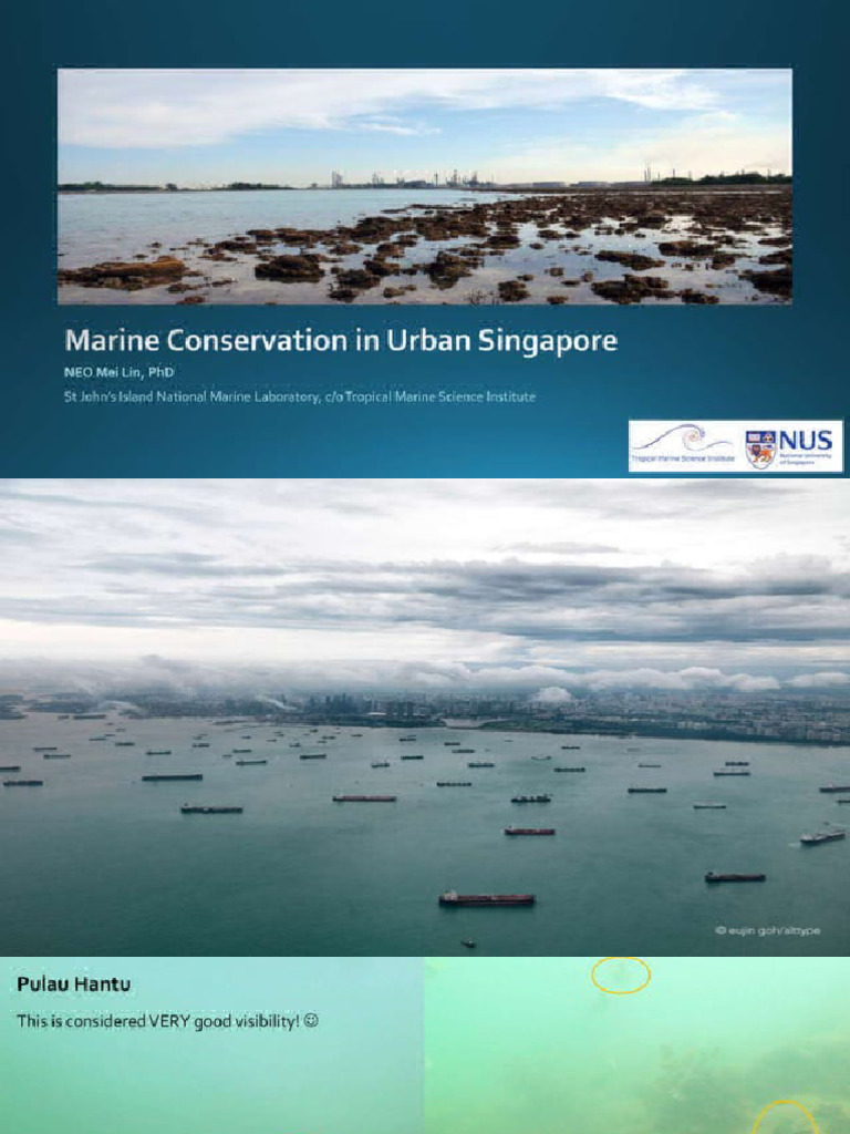 Marine Environmental Regulations in Singapore | PDF