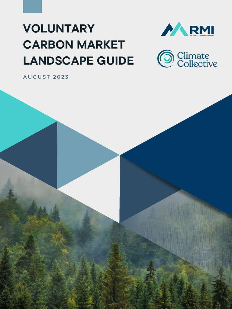 VCM Landscape Guide | PDF | Market (Economics) | Procurement