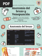 Metodo RaPeVA GAVeCeLT | PDF | Sistema cardiovascular | Sistema ...