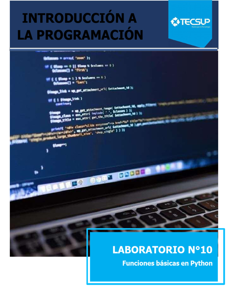 Laboratorio10 Funciones en Python | PDF | Python (lenguaje de programación) | Programación de ...