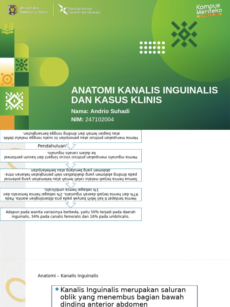 Anatomi dan Kasus Hernia Inguinalis | PDF