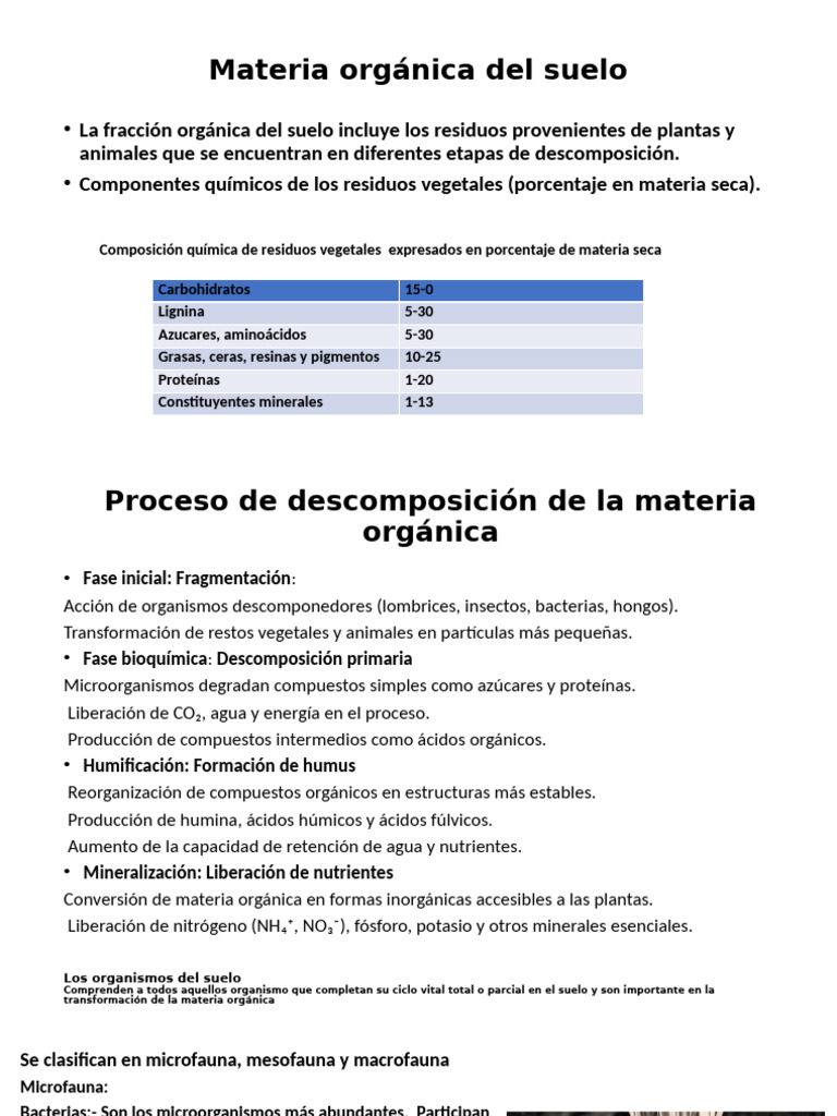 Tema 8 La Materia Organica y El Agua Del Suelo | PDF | Suelo | Agua