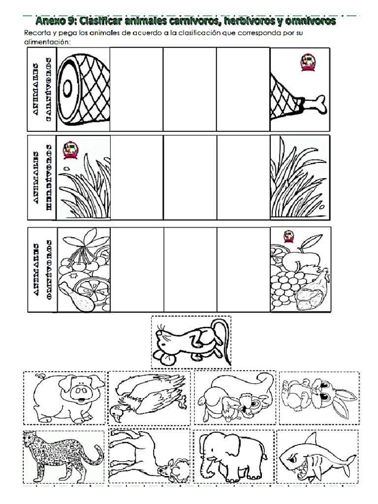 Animales Carnívoros, Herbívoros y Omnívoros | PDF