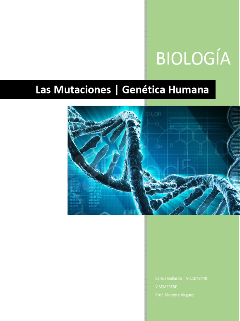Mutaciones y Herencia en Genética Humana | PDF | Mutación | Gene