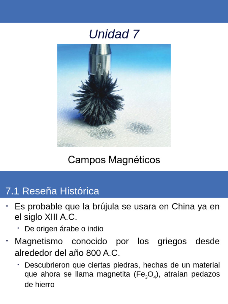 Unidad 7 - Campos Magneticos | PDF | Campo magnético | Magnetismo