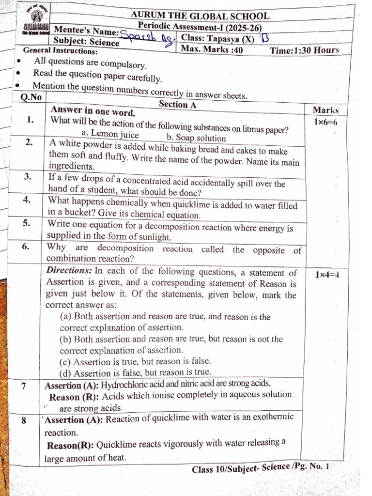 SCIENCE Test Paper AURUM | PDF | Magnesium | Chemical Reactions