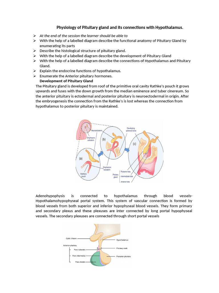 Physiology of Pituitary Gland and Its Connections With Hypothalamus | PDF | Pituitary Gland ...